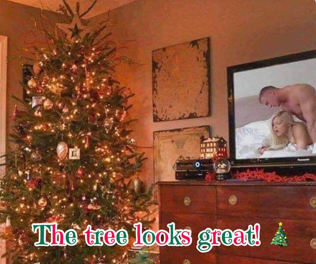 The Tree Looks Great” Crimmy