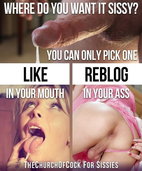 Where Do You Want It Sissy Stylezg