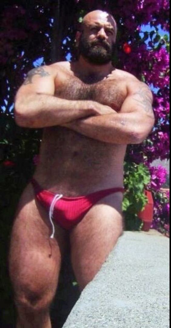 Bulge Muscle Bull Hairy Phnix