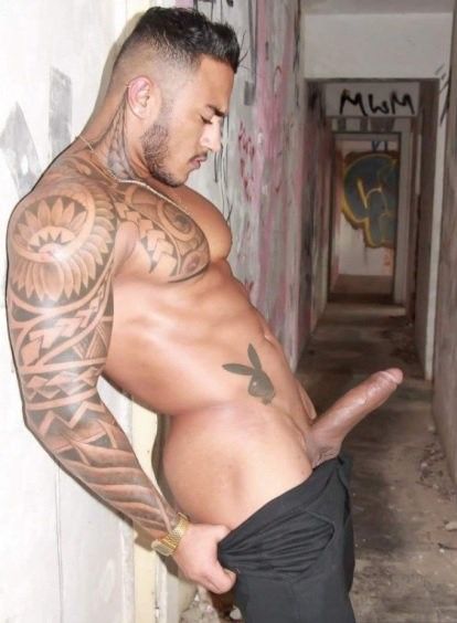 Beautiful And Delicious Cubanoferfer