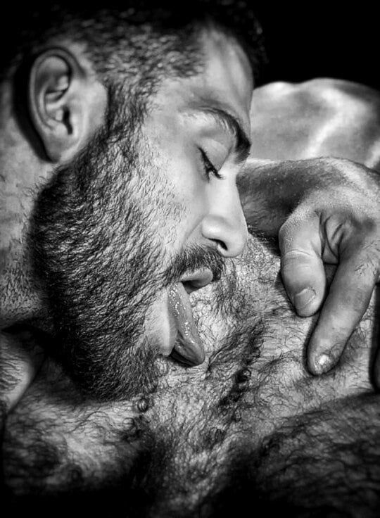 Men With Furry Ass Make Me Hard Phnix