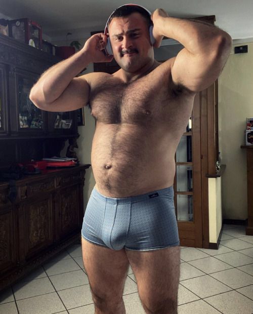 Bear Phnix