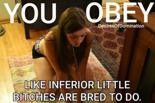 You Obey Sissyciarra