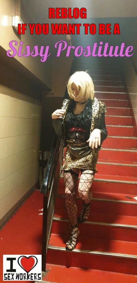 Reblog If You Want To Be A Sissy Sissyciarra