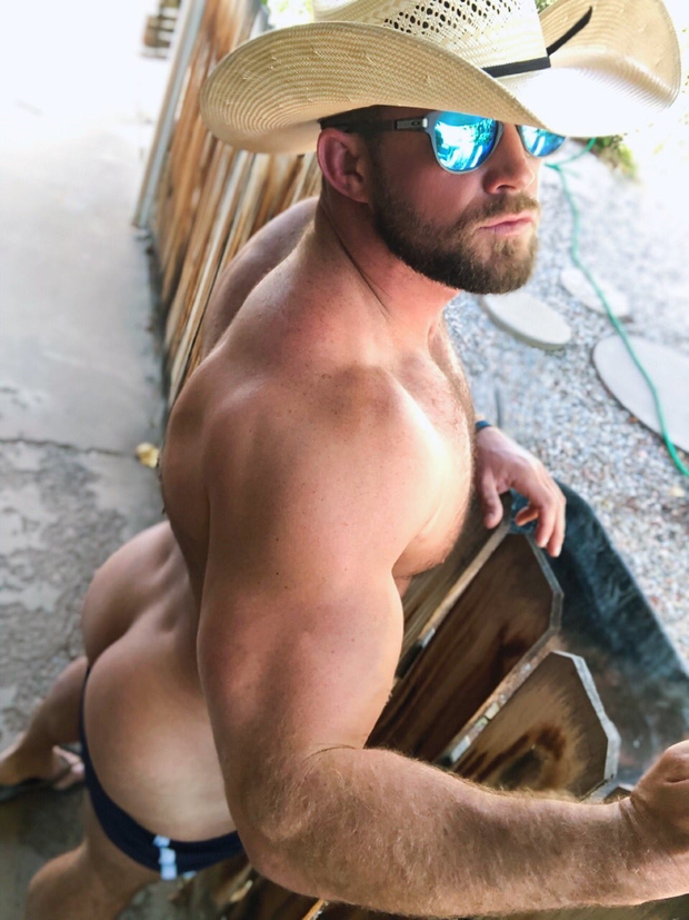 Trace Trainer Hump Day Phnix