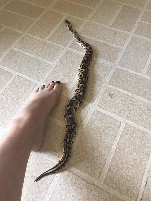 Georgia Jones Feet Baner