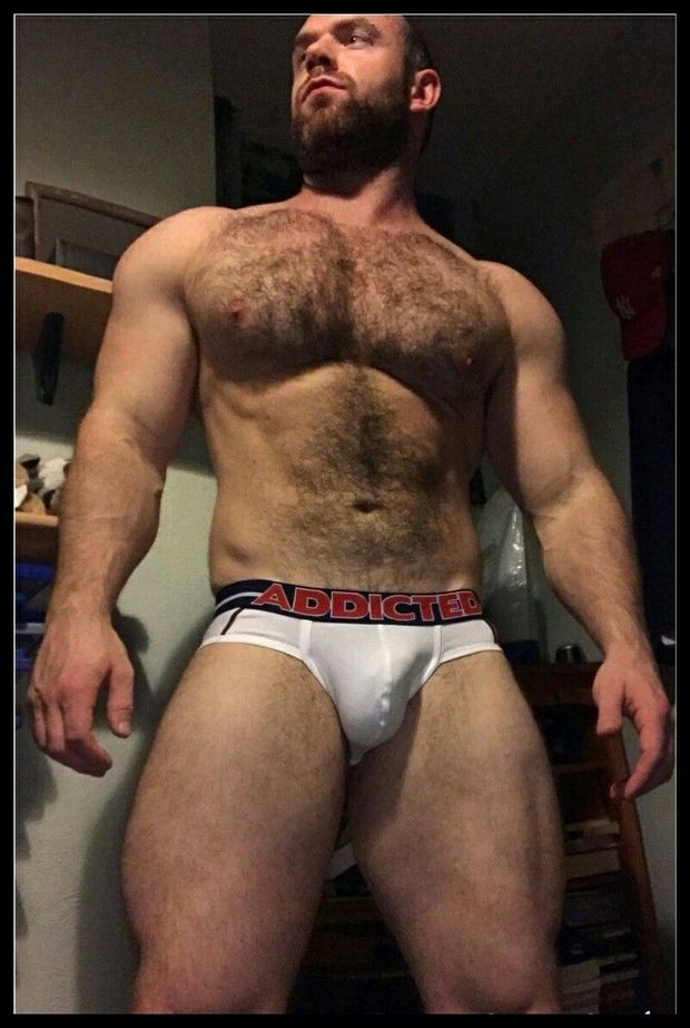 Hombres Belludos En Ropa Interior Phnix