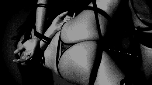 Suspension View Kinkylily