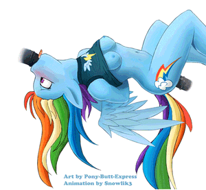 Dashie S