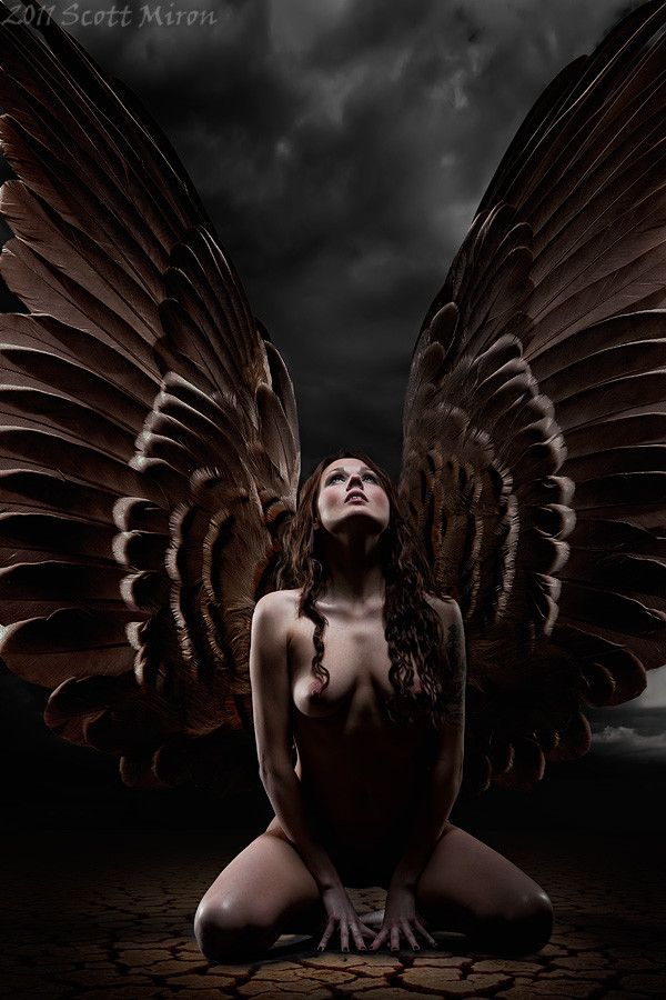 Photoshop Artwork Mrpsycho2000 
