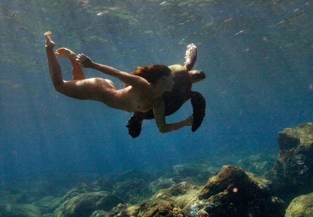 Sea Turtle Perfekt10