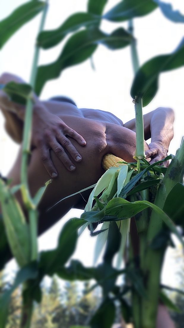 Corn On The Stalk Up My Ass Fruitnvegeguy