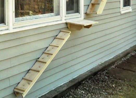 Ratcheted Cat Ramp Justvisiting8392