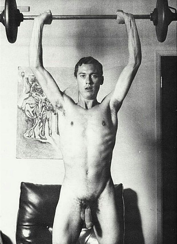 John Holmes Phnix