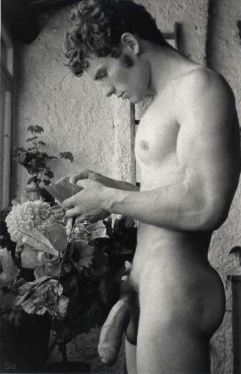 Mico Donato Phnix