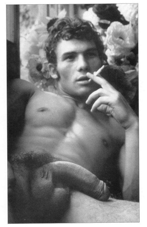 Mico Donato Phnix