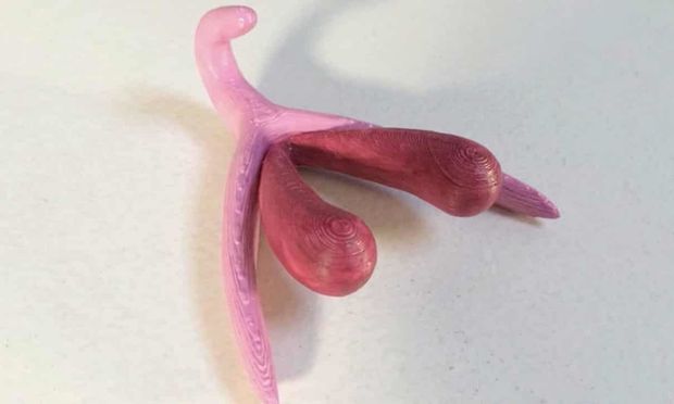 The Clitoris Know It Love It The Sole Xrubicon