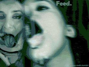 Feed S