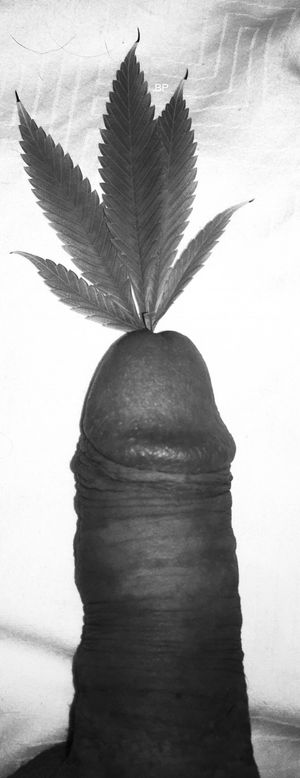420 Weed Pics