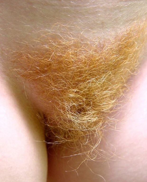 Blonde Bush Tubbys1st
