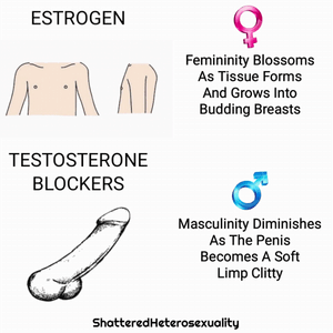 Mtf Caption S