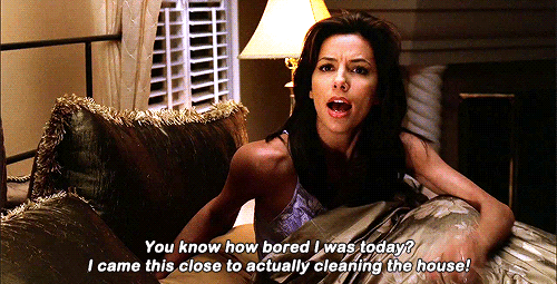 Desperate Housewives Find Something That Wont Icarusnewport