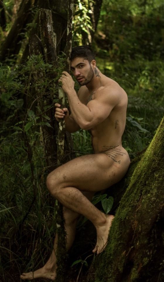 Musculos Menitt