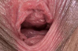 Celebrity Vagina S