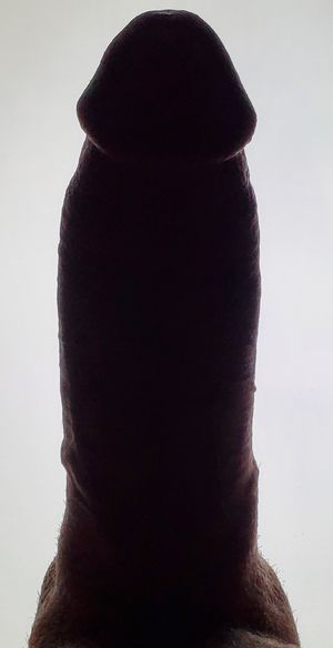 Silhouette Pics