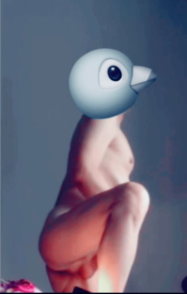 Penguin Eroticarina
