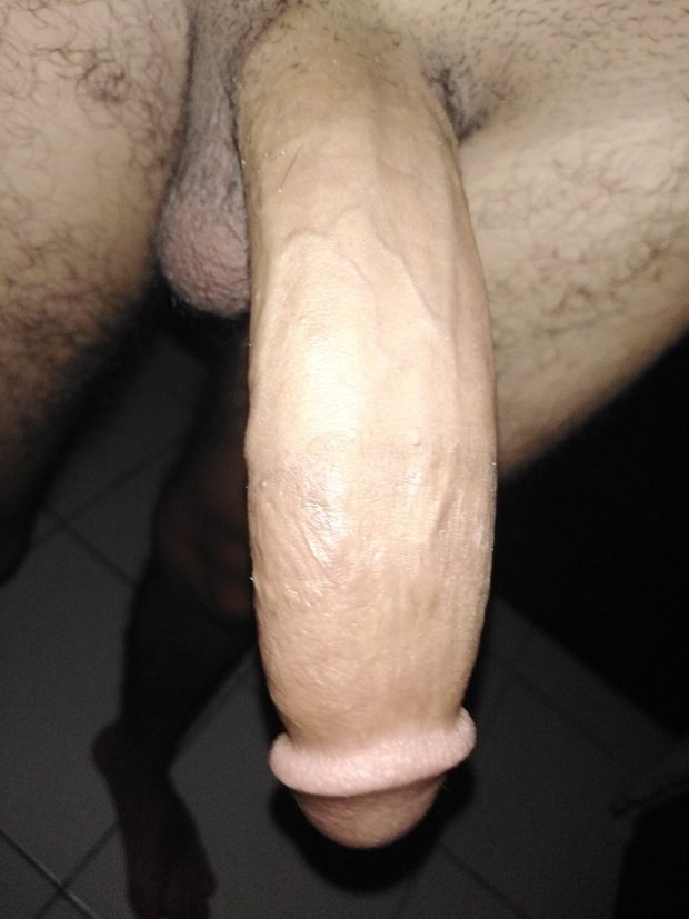 Third Leg Bicholargo21