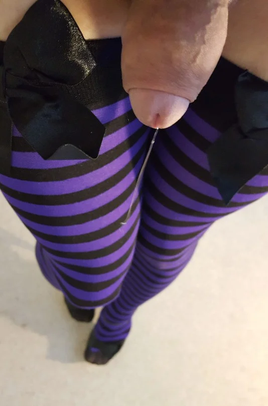 Mistermadis Sissy Cocks In Panties And Lingerie Pin 62757861