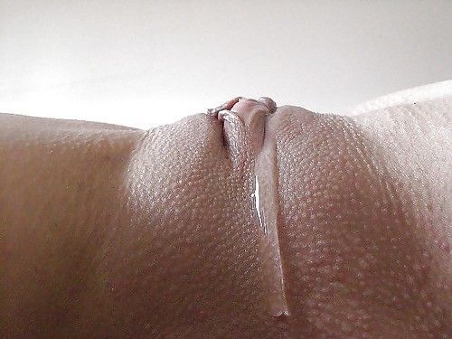 Wet Wesb