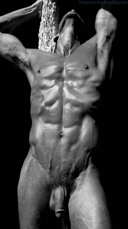 Ryan Youn Phnix