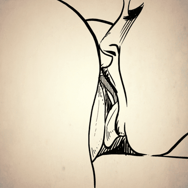 Lick It Sxfn