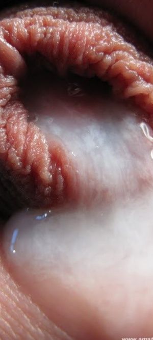 Yumm Pics