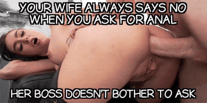 Y Anal To