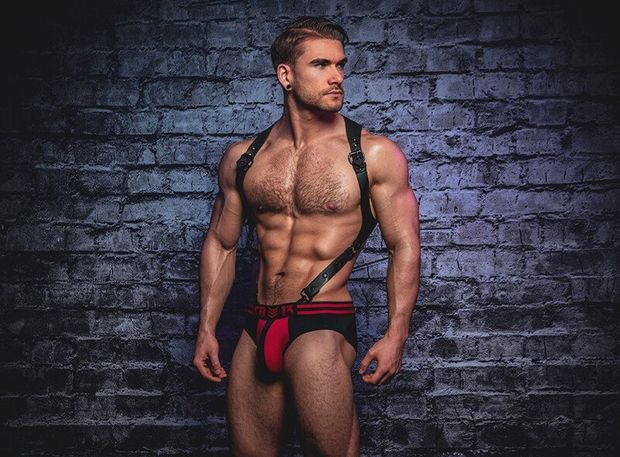Joel Hansen Phnix