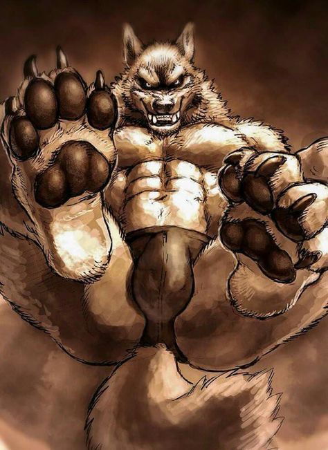 Furry Phnix