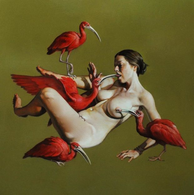 Birds Sebfed