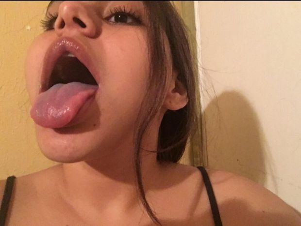 Open Bohnerbitch