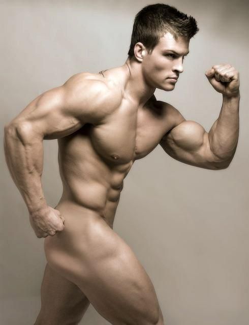 Stefan Gatt Phnix