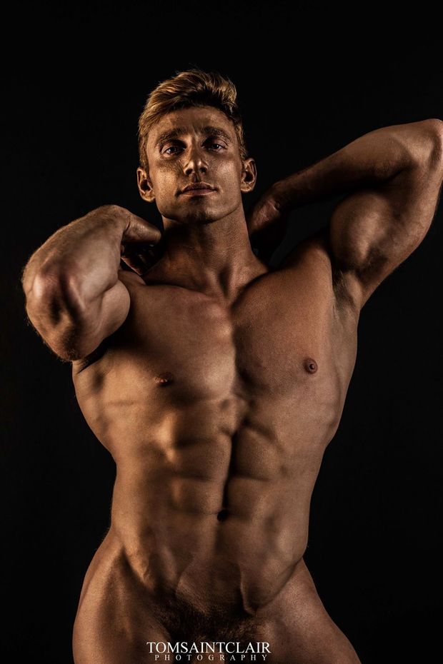 Davide Zongoli Phnix