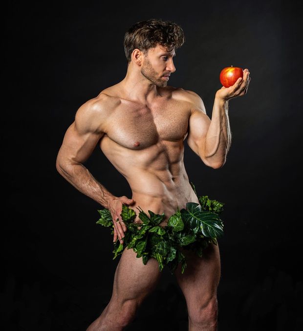Davide Zongoli Phnix