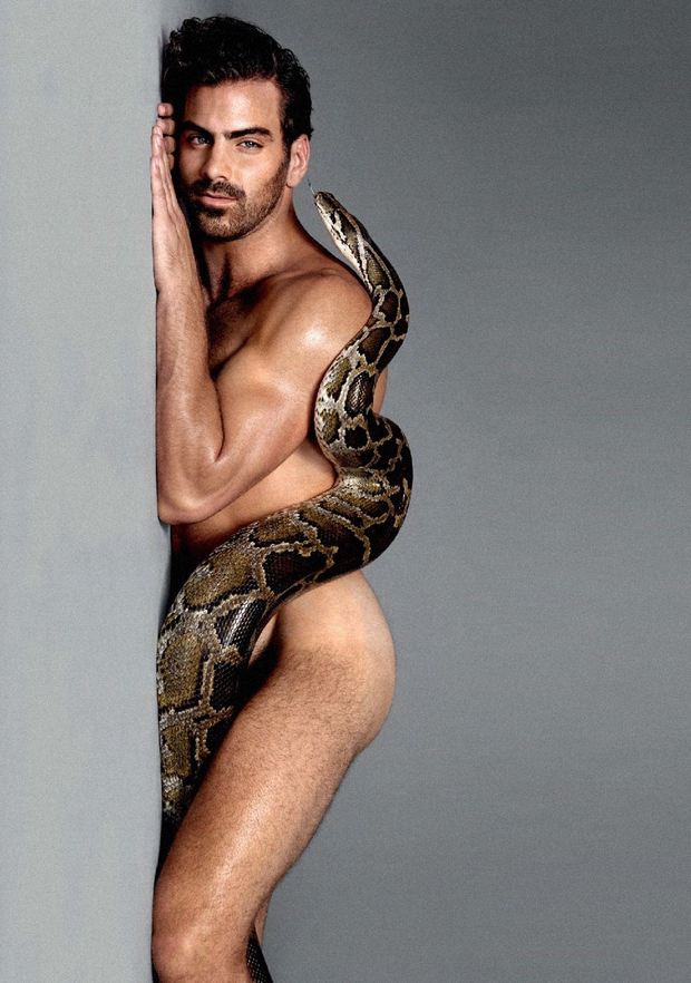 Nyle Dimarco Phnix