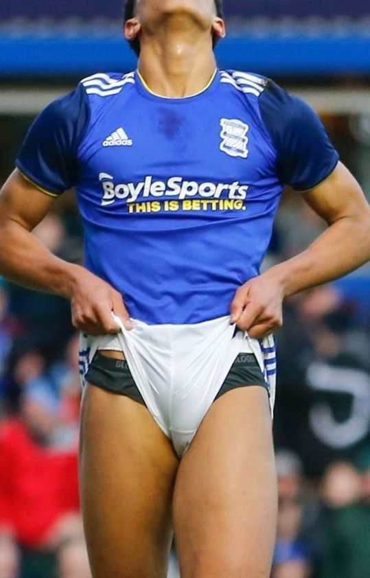 Crotch Houtex2019