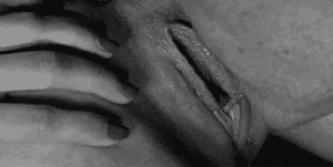 Pussy Lick S