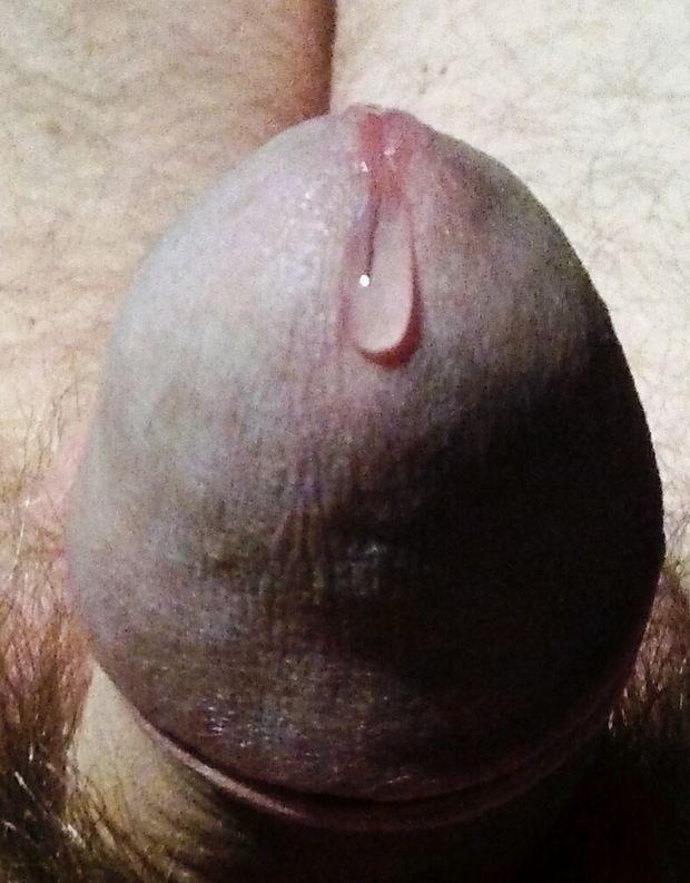 Precum Tear Lionel666
