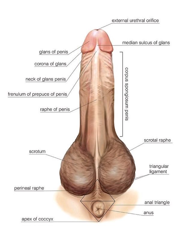 Respect The Cock” Iam69legend