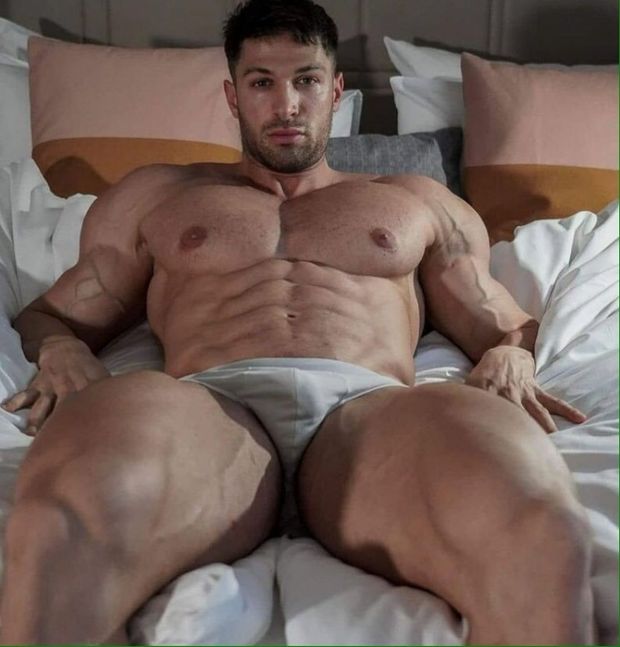 Alessandro Cavagnola Phnix